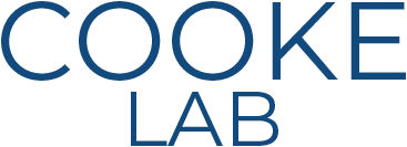 John P. Cooke, MD, PhD – Cooke Lab | Houston Methodist